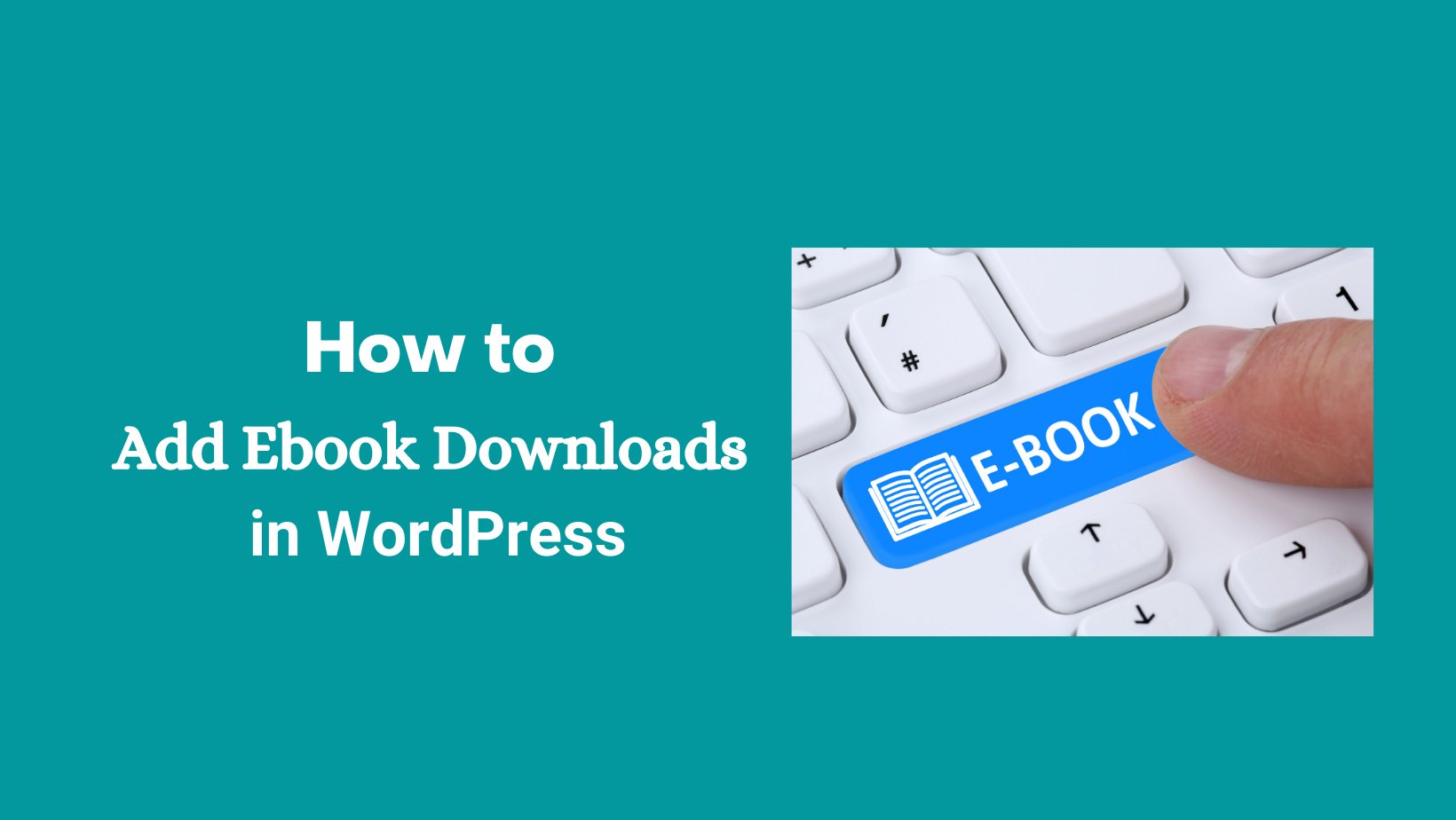 How To Add Ebook Downloads In WordPress 2024 GalussoThemes